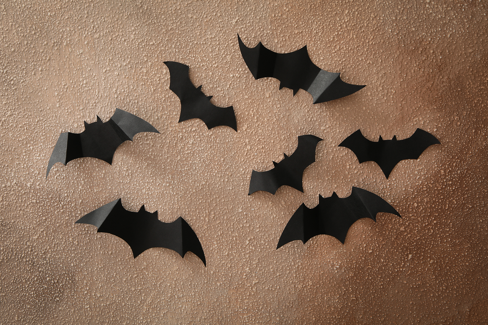 Why Choose Bat Removal Indiana to Get Rid of Bats in the Attic | Bat ...